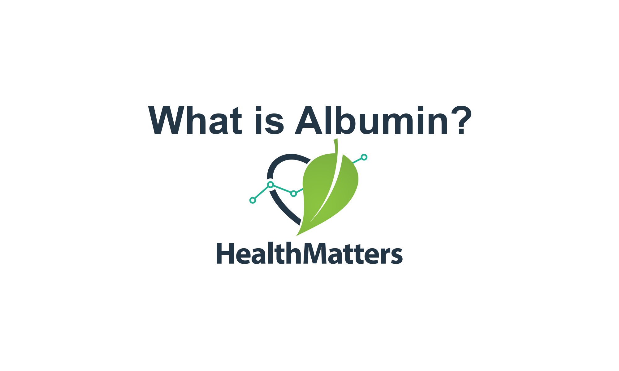What is Albumin?