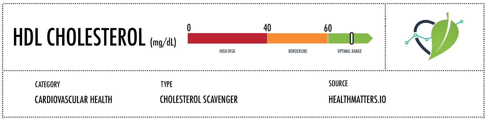 What is “HDL Cholesterol”?