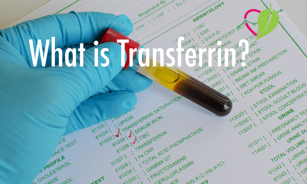 What the heck is Transferrin?