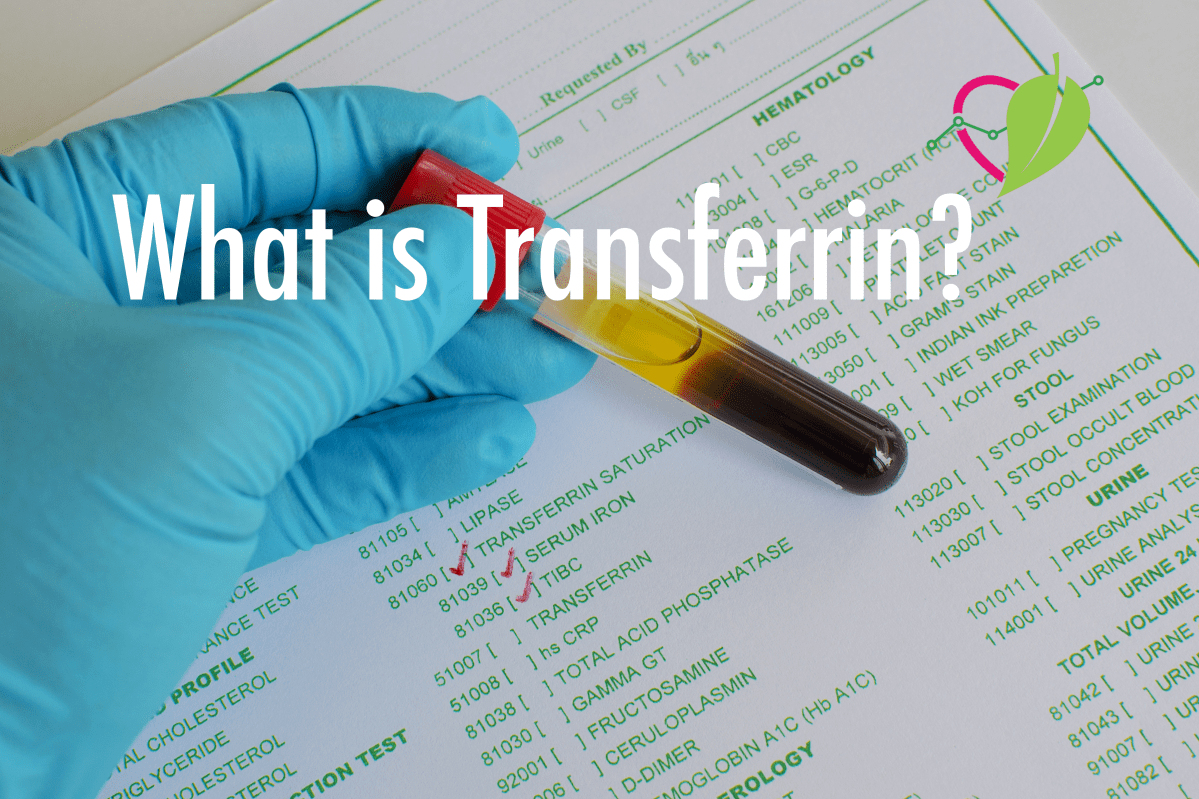 What the heck is Transferrin?