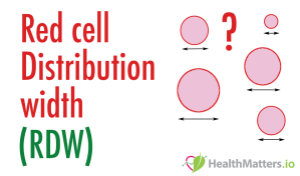 RDW-CV and RDW-SD: “Red Cell Distribution Width” FULLY explained ...