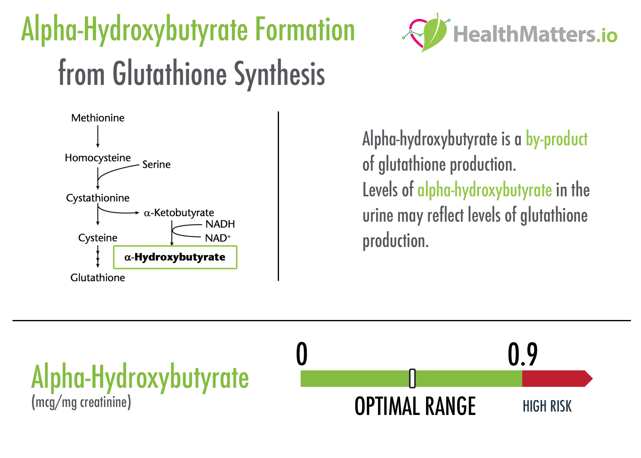 What is Alpha-Hydroxybutyrate? Definition, Reference Ranges