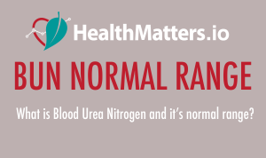 What is the BUN normal range?