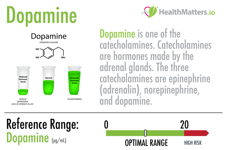 What is Dopamine?