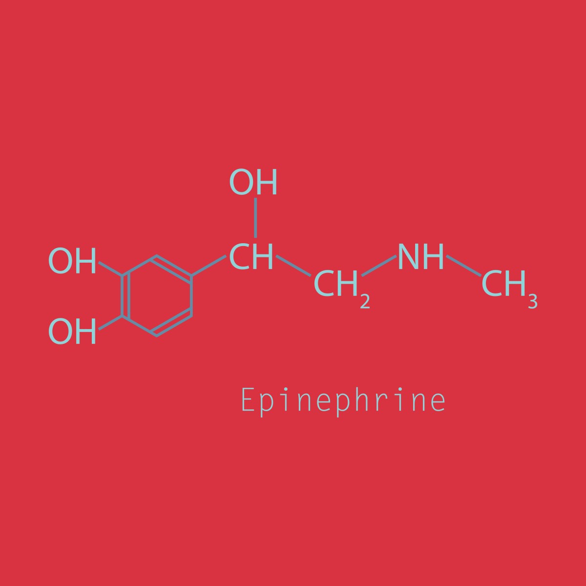 What is Epinephrine?