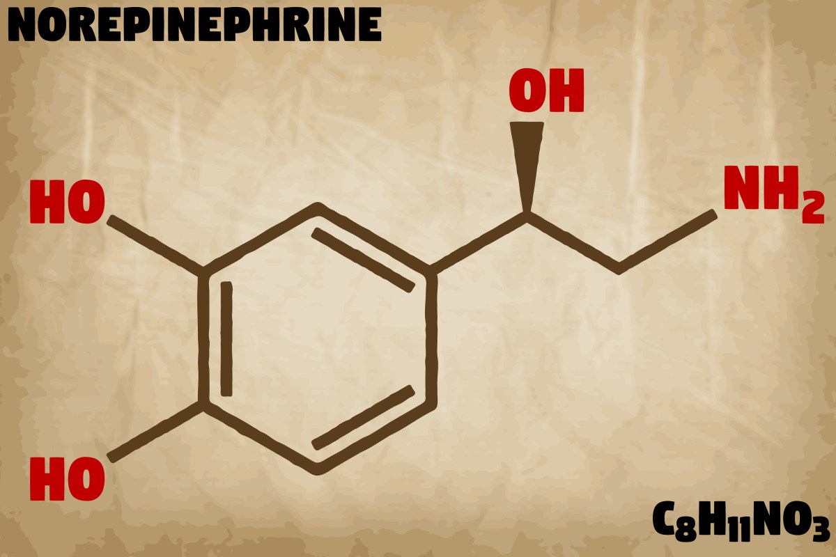 What is Norepinephrine?
