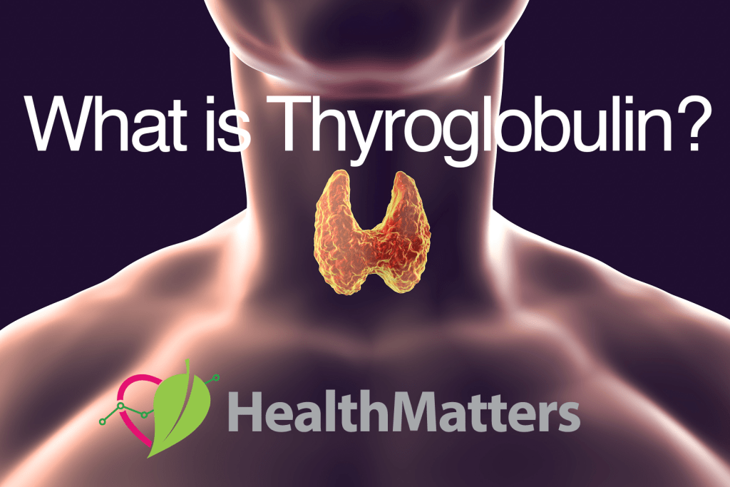 What is Thyroglobulin?