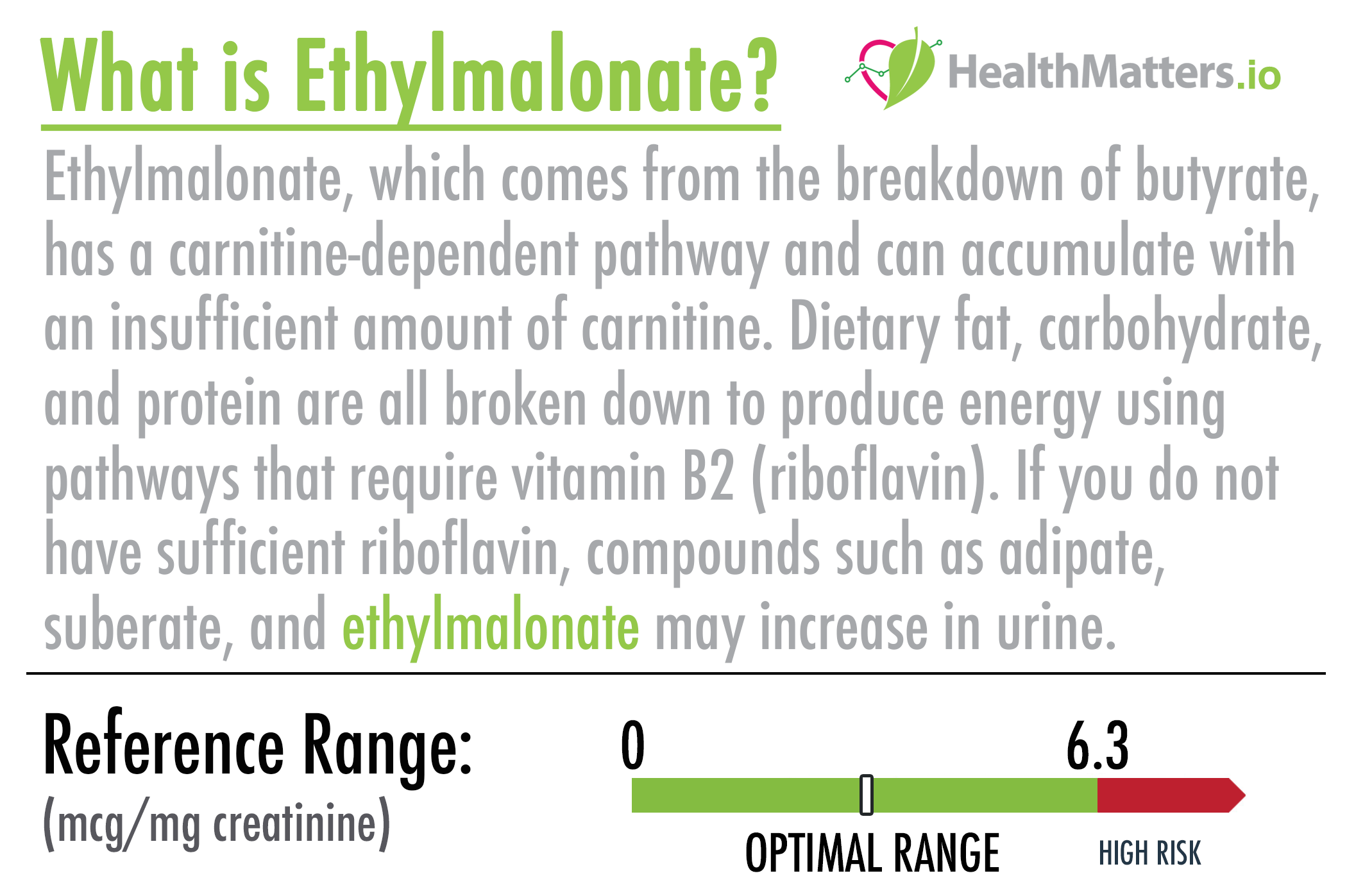 What is Ethylmalonate?