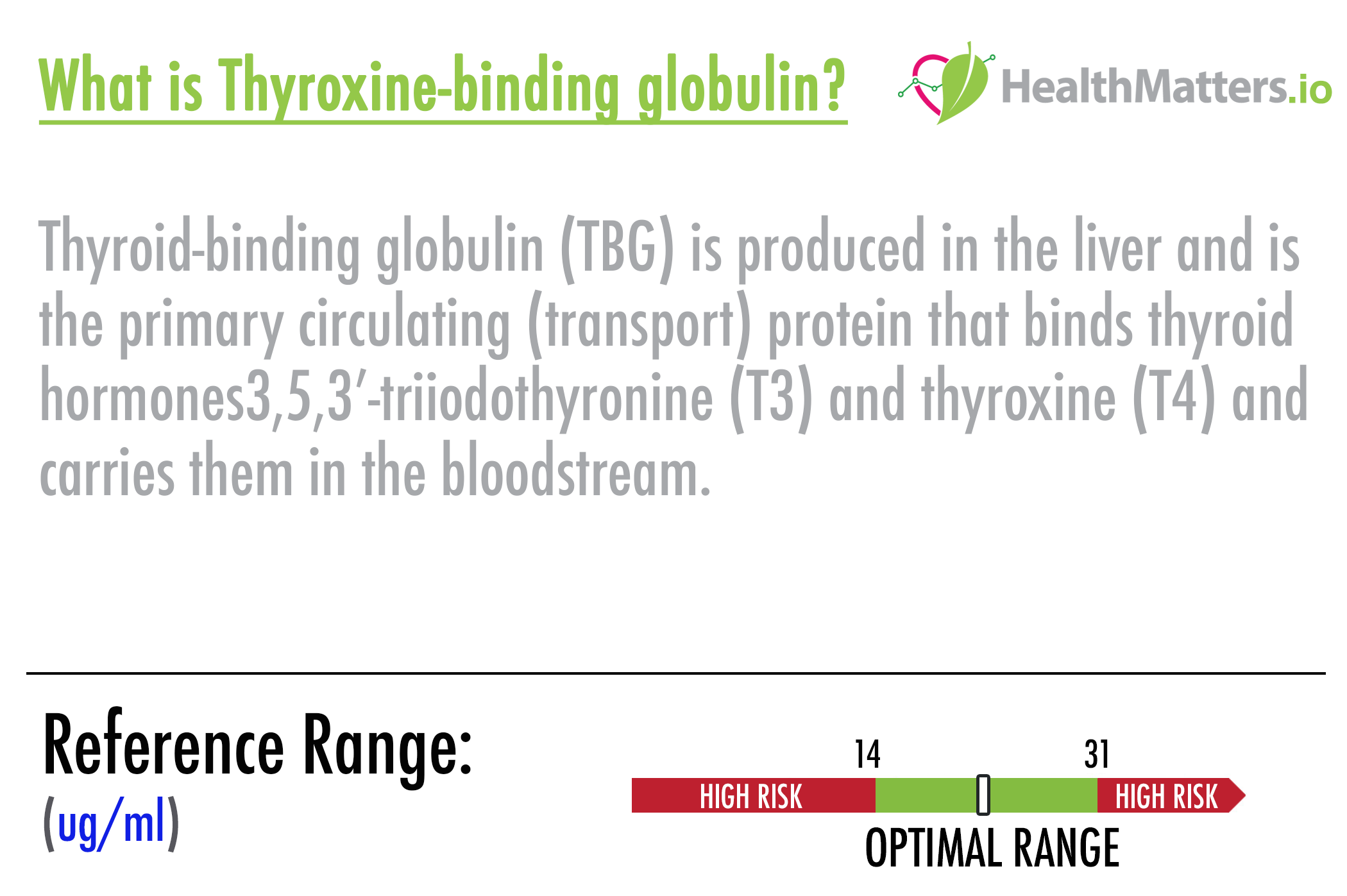 What is Thyroxine-binding globulin, TBG?