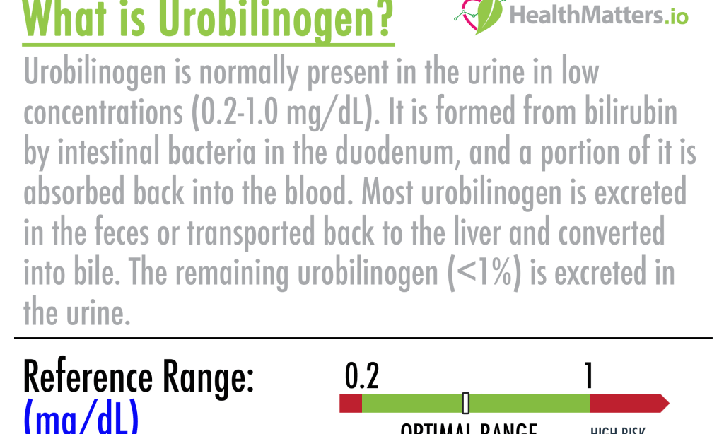 What is Urobilinogen?