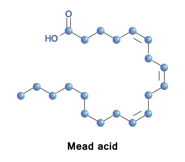 What is Mead (from Genova test)?