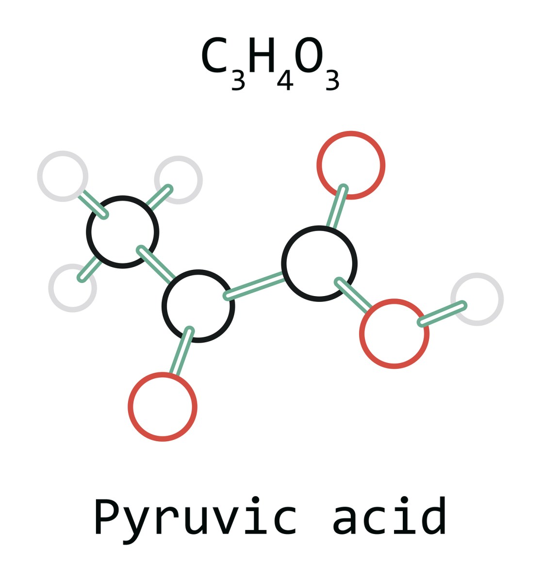What is Pyruvate/Pyruvic Acid?