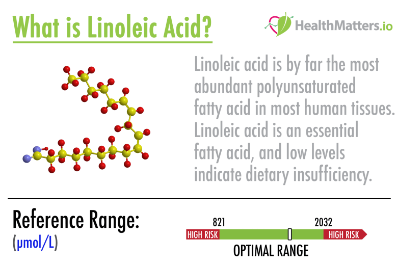 What is Linoleic Acid?