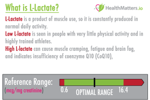 What is L-Lactate?