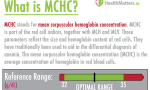 What the heck is MCHC?