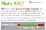 What the heck is MCHC?