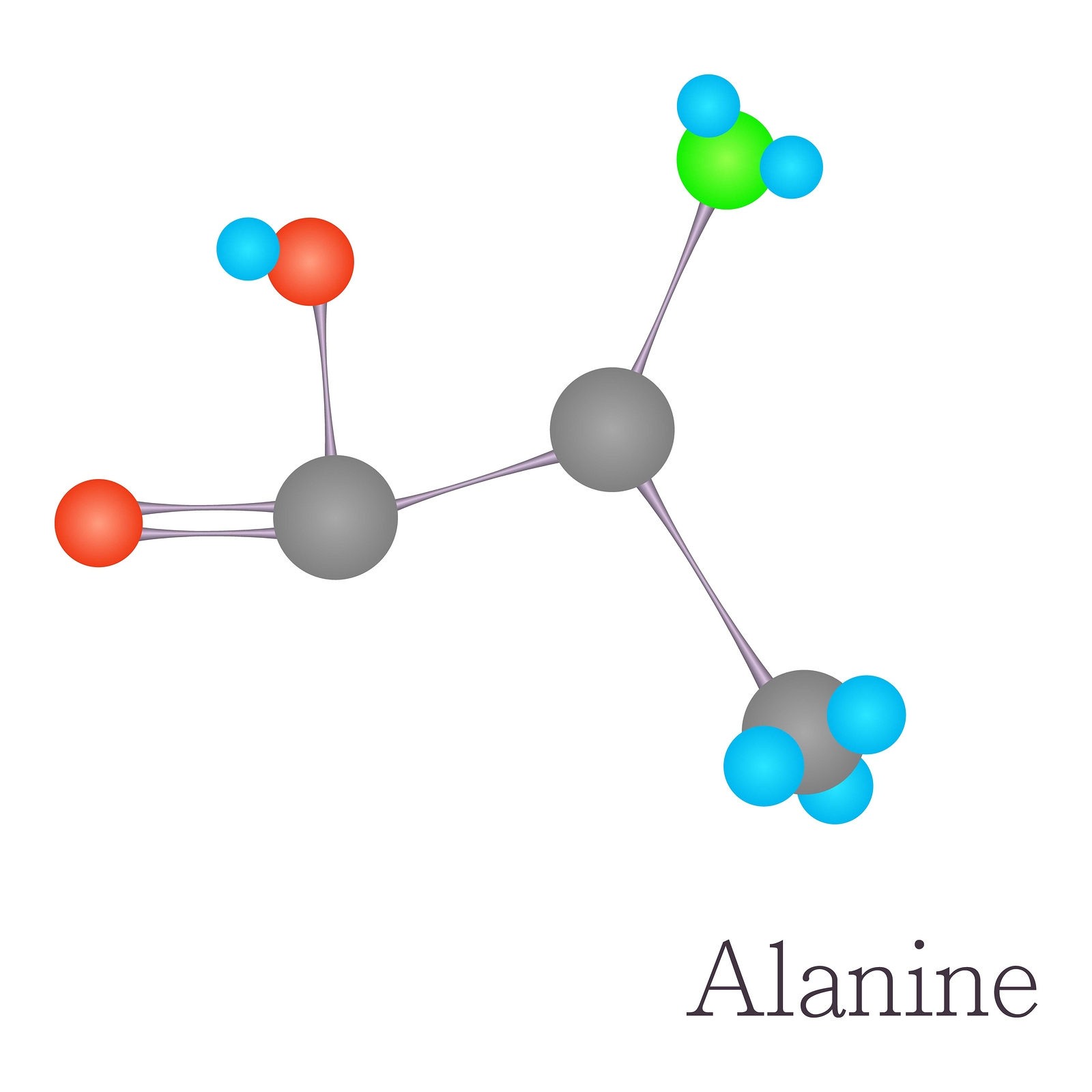What is Alanine?