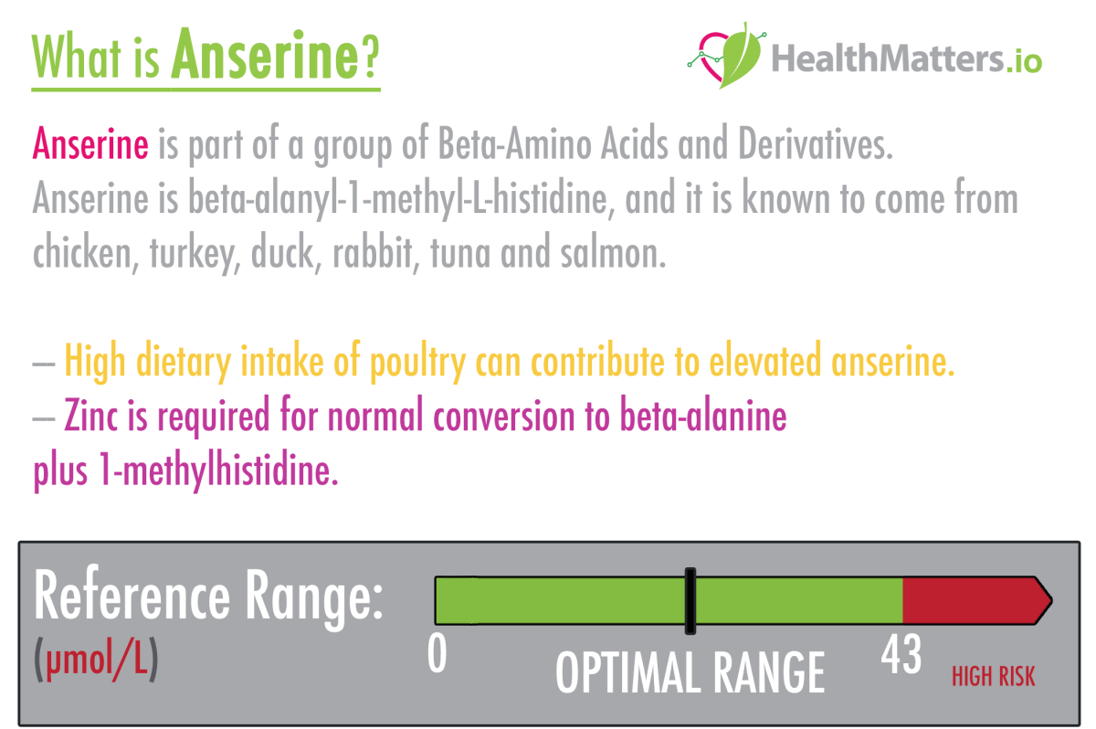 What is Anserine? High and low values | Lab results explained