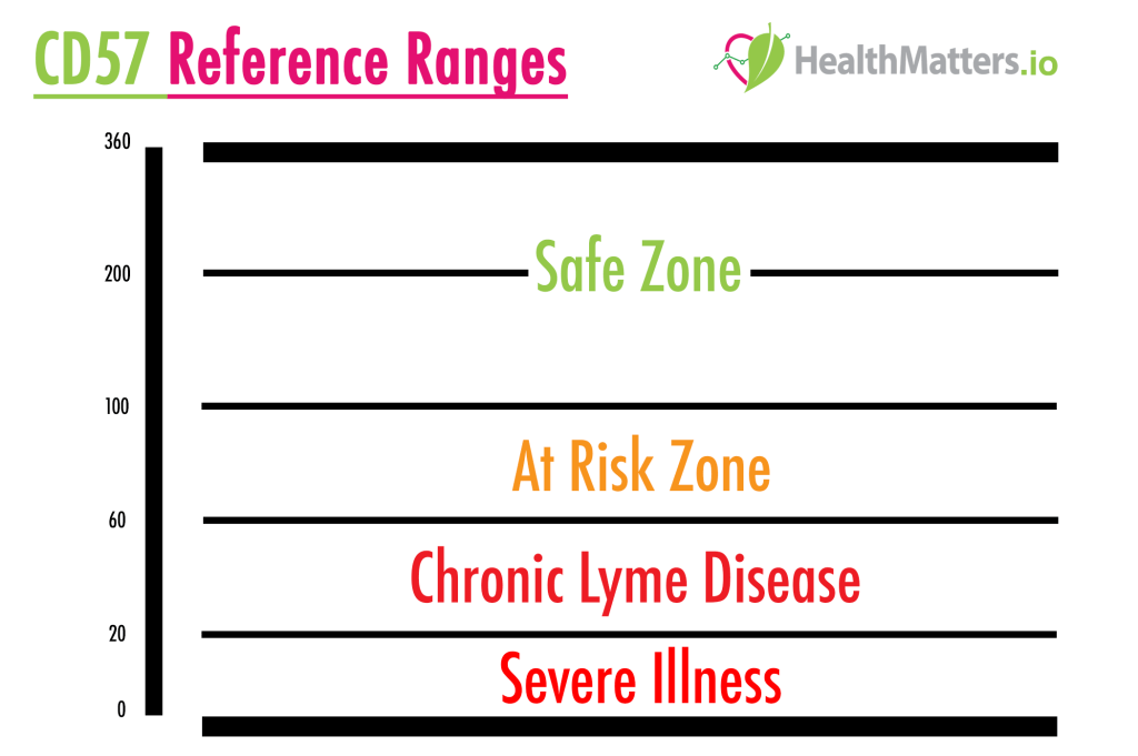 What are Lyme Disease markers? CD57 Lab results explained.