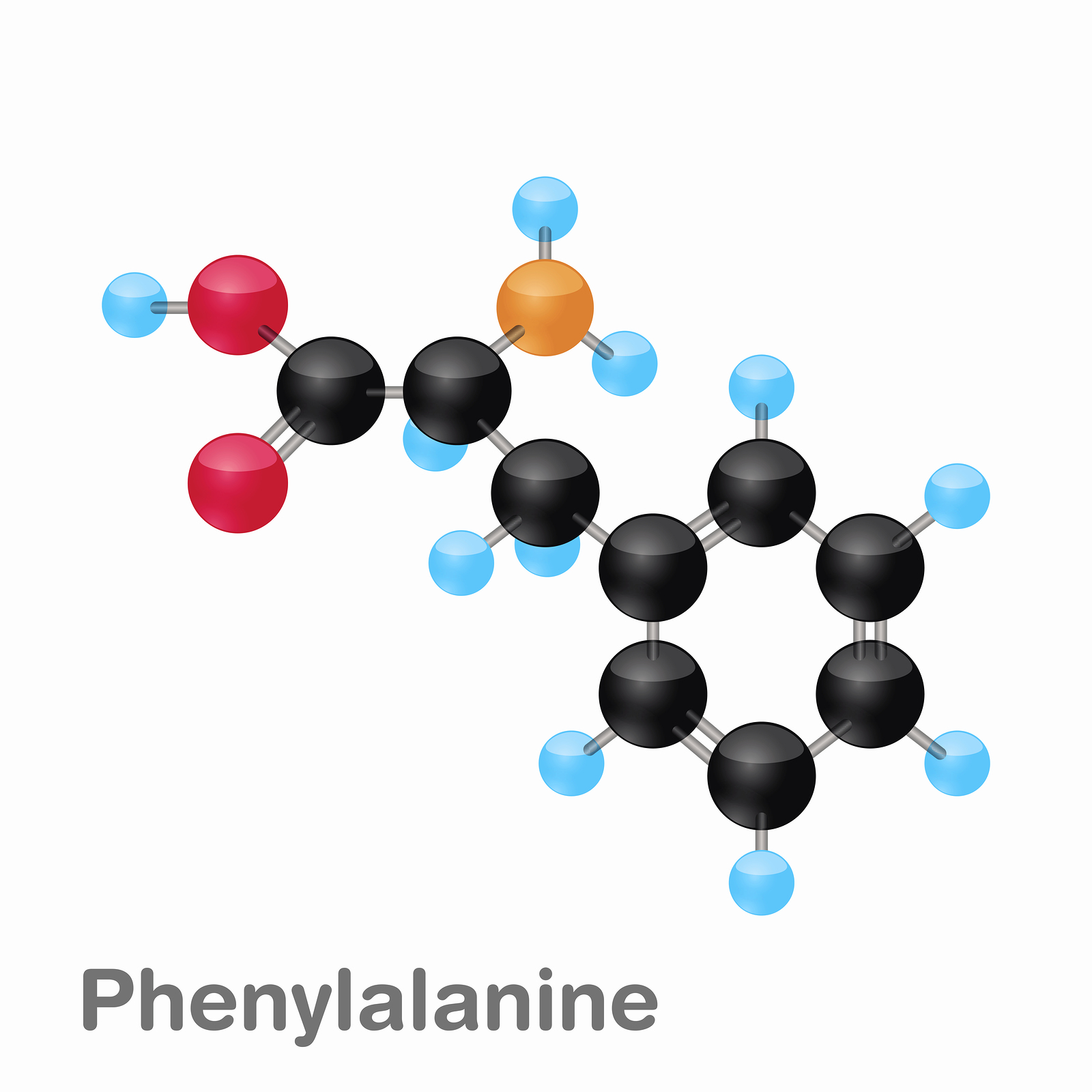 What is Phenylalanine?