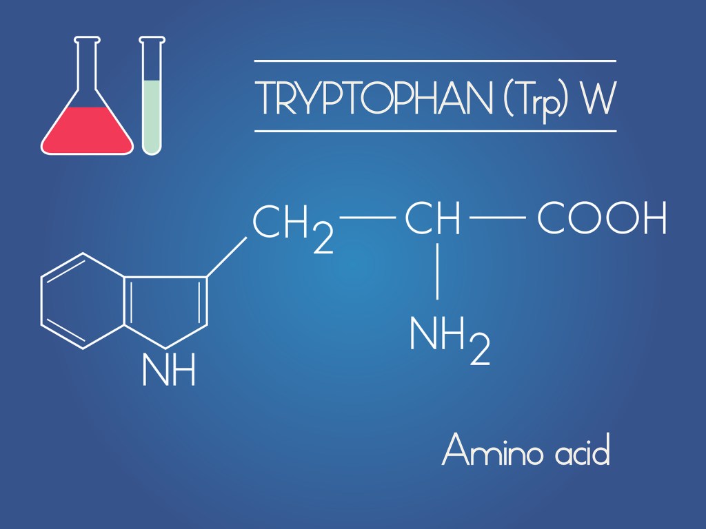 What is Tryptophan? High and low values | Lab results explained