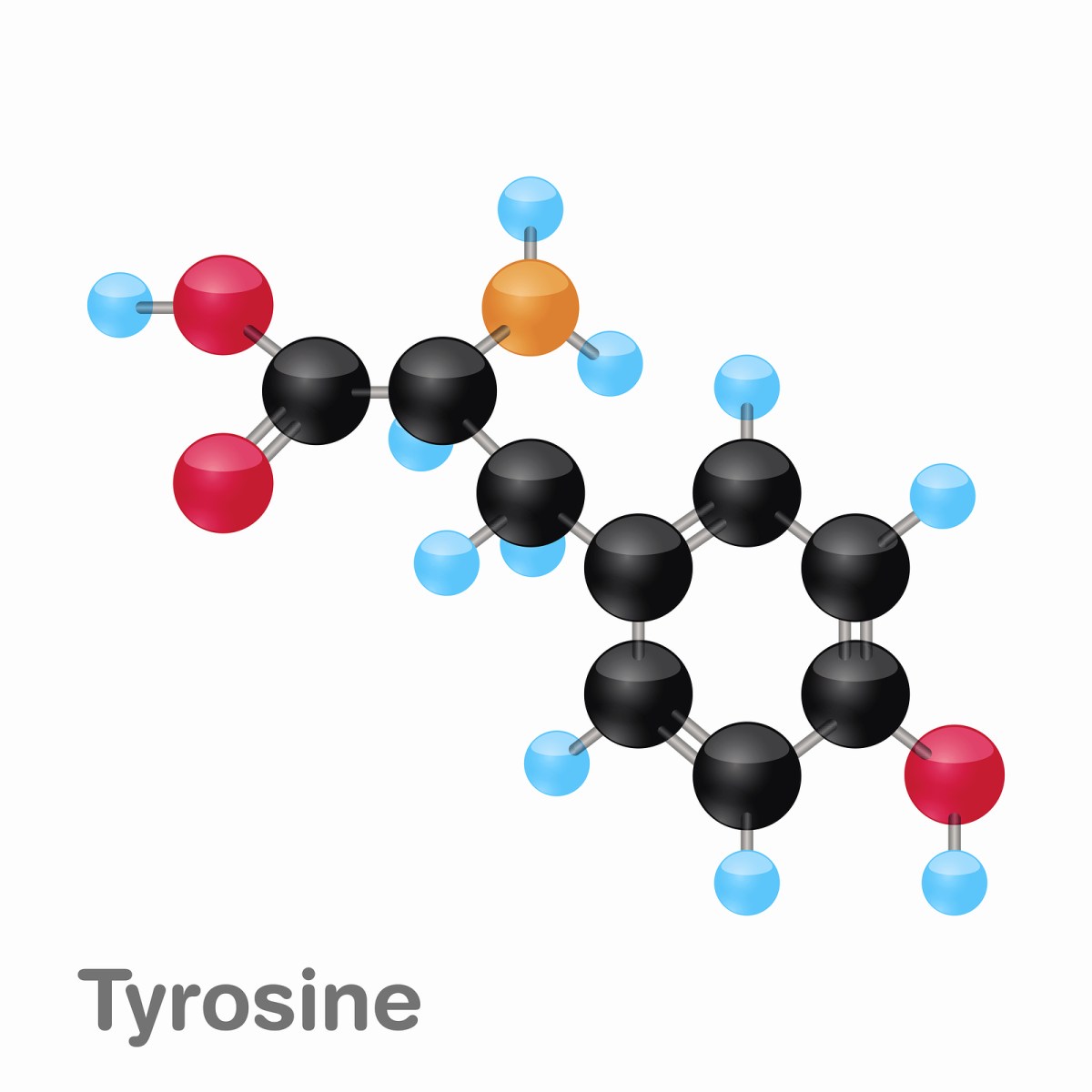 What is Tyrosine?