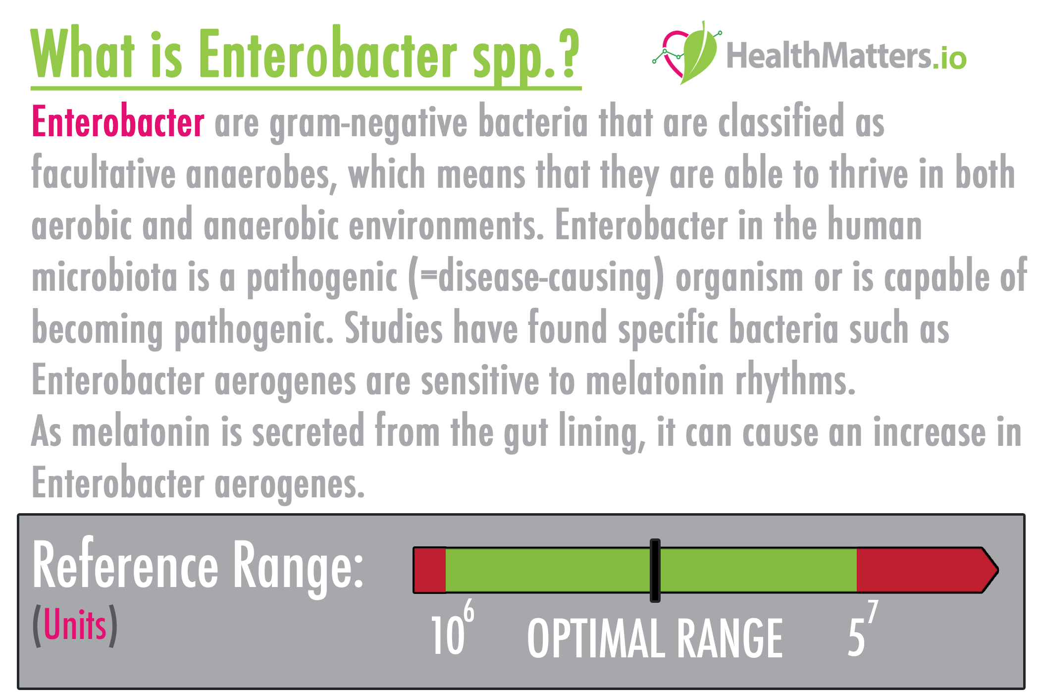What is Enterobacter spp.? High and low values | Lab results explained