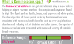 What is Ruminococcus spp.? High and low values | Lab results explained