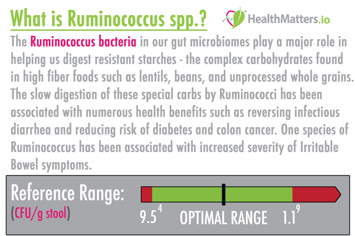 What is Ruminococcus spp.? High and low values | Lab results explained