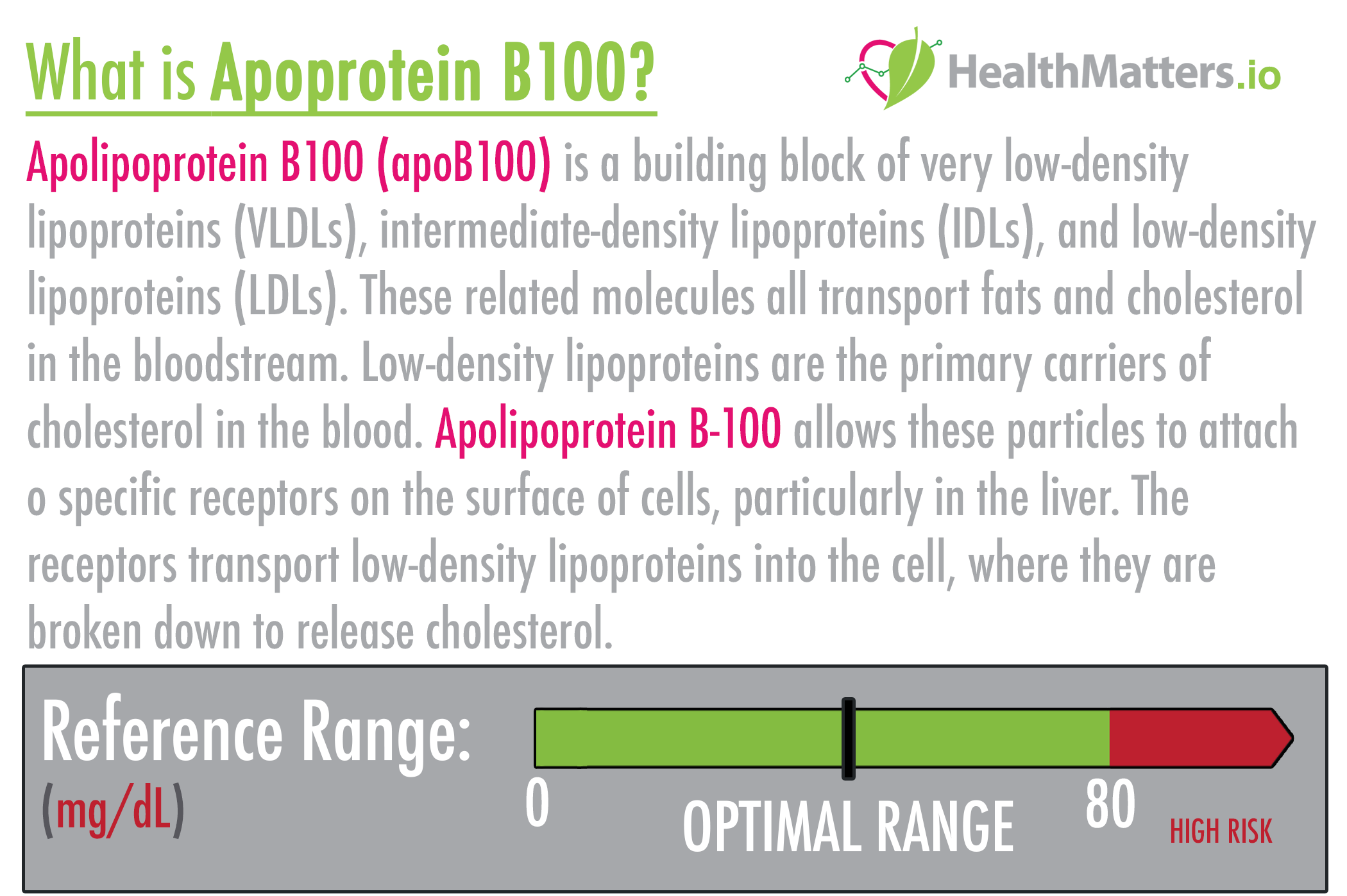What is ApoB 100? High and low values | Lab results explained
