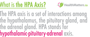 What is the HPA Axis? Dysregulation + Symptoms + Treatment