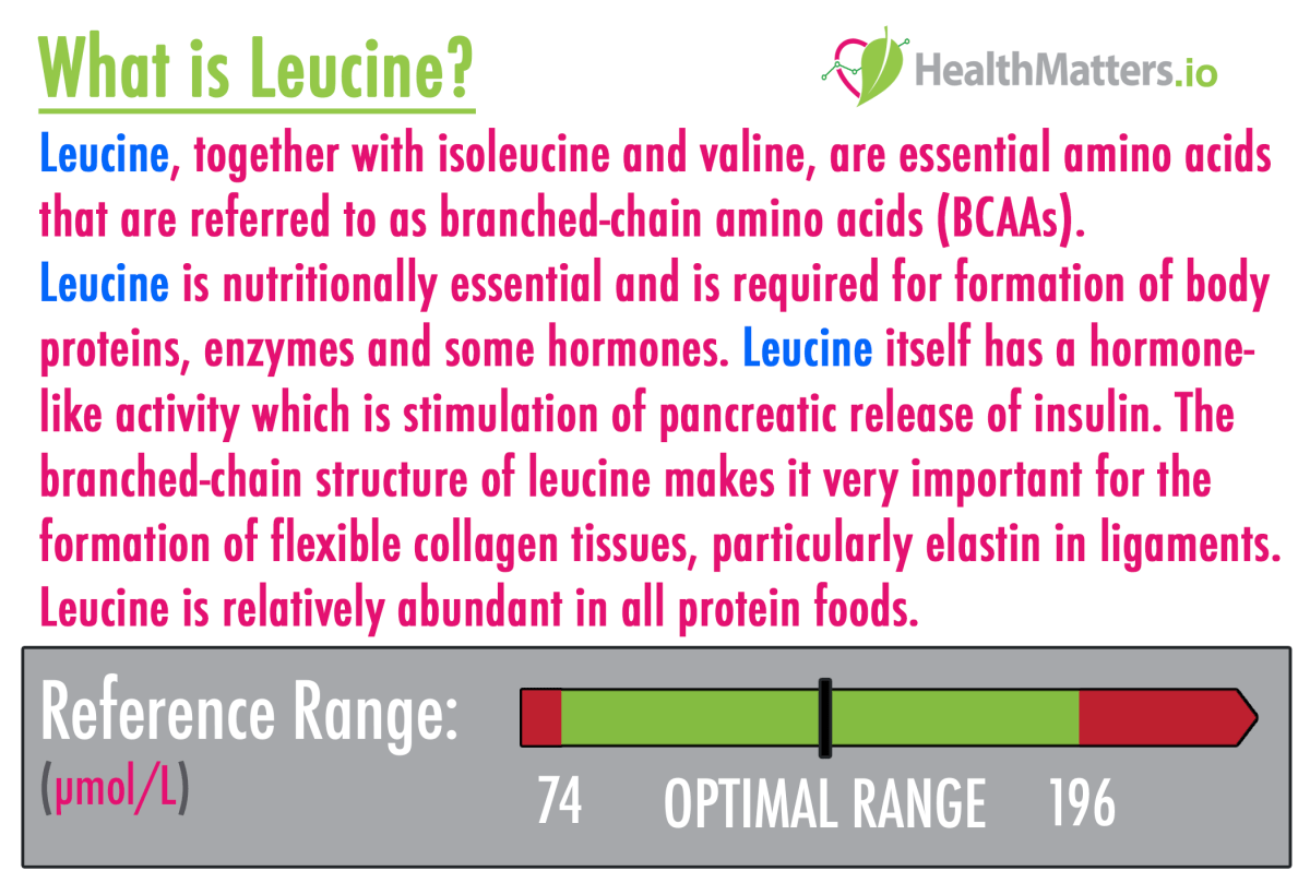 What is Leucine? High and low values | Lab results explained