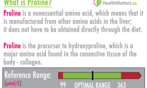 What is Proline? High and low values | Lab results explained