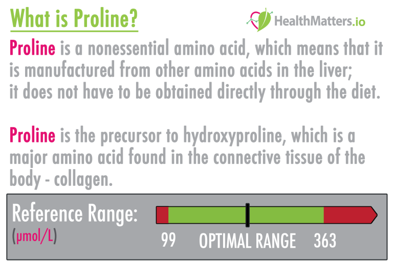 What is Proline? High and low values | Lab results explained