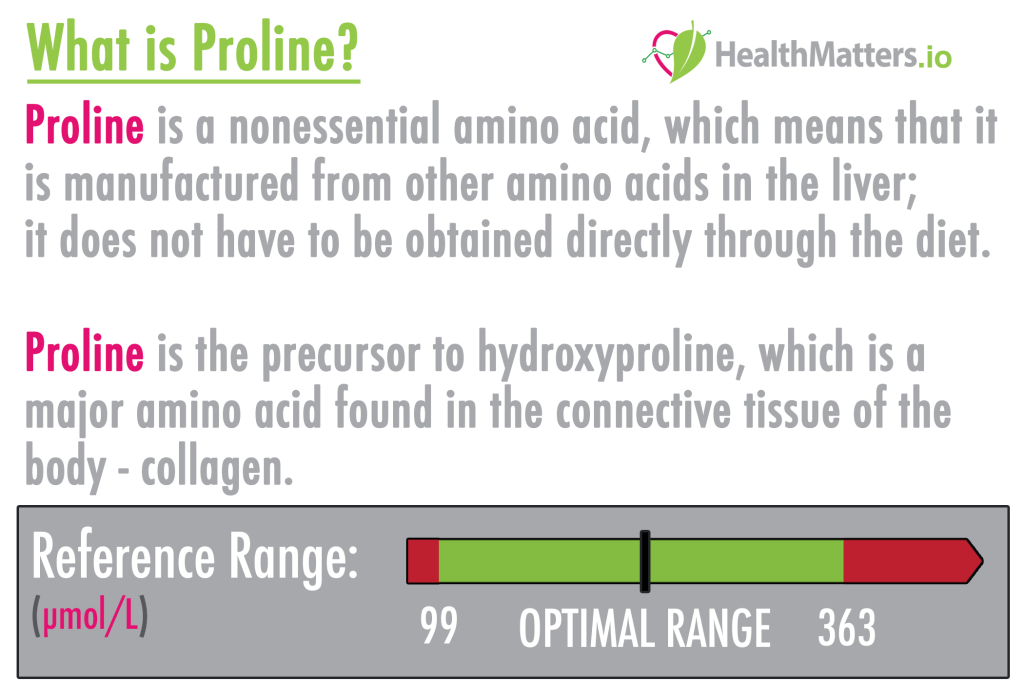 What is Proline? High and low values | Lab results explained