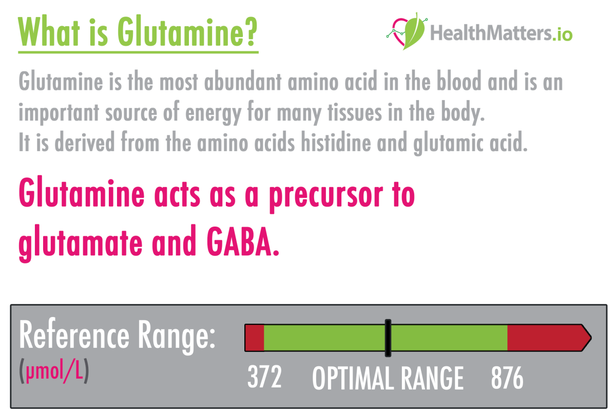 What is Glutamine? High and low values | Lab results explained