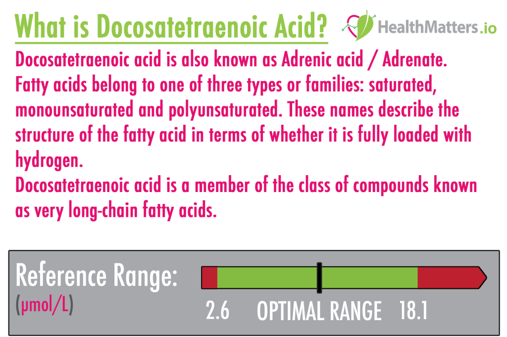 What is Docosatetraenoic Acid? High and low values | Lab results explained