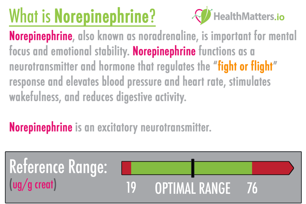 What is Norepinephrine? High and low values | Lab results explained