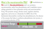 What is the neurotransmitter PEA? High and low values | Lab results ...