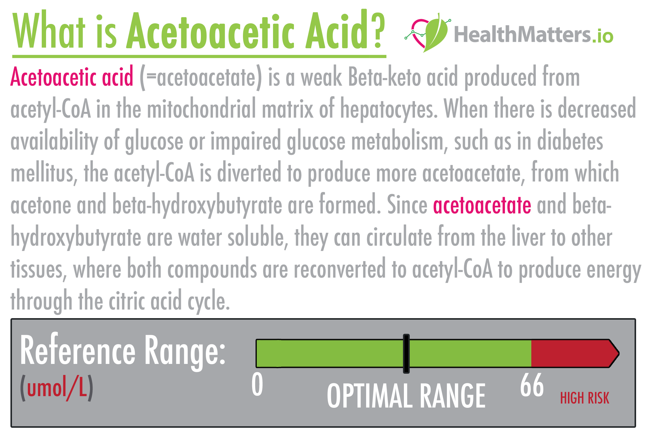 What is Acetoacetic Acid? High and low values | Lab results explained