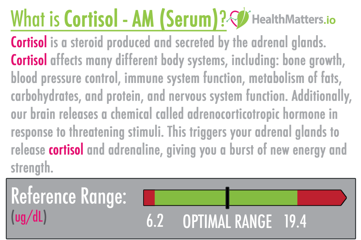 What is Cortisol – AM (Serum)? High and low values | Lab results