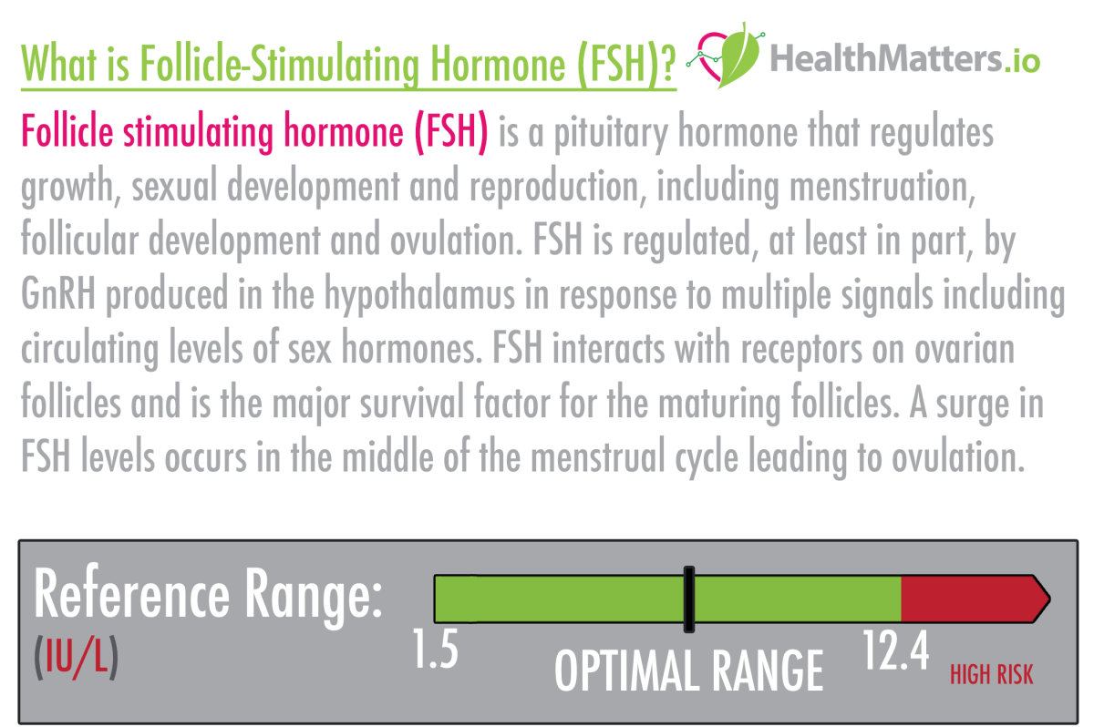 What is Follicle-Stimulating Hormone (FSH)?