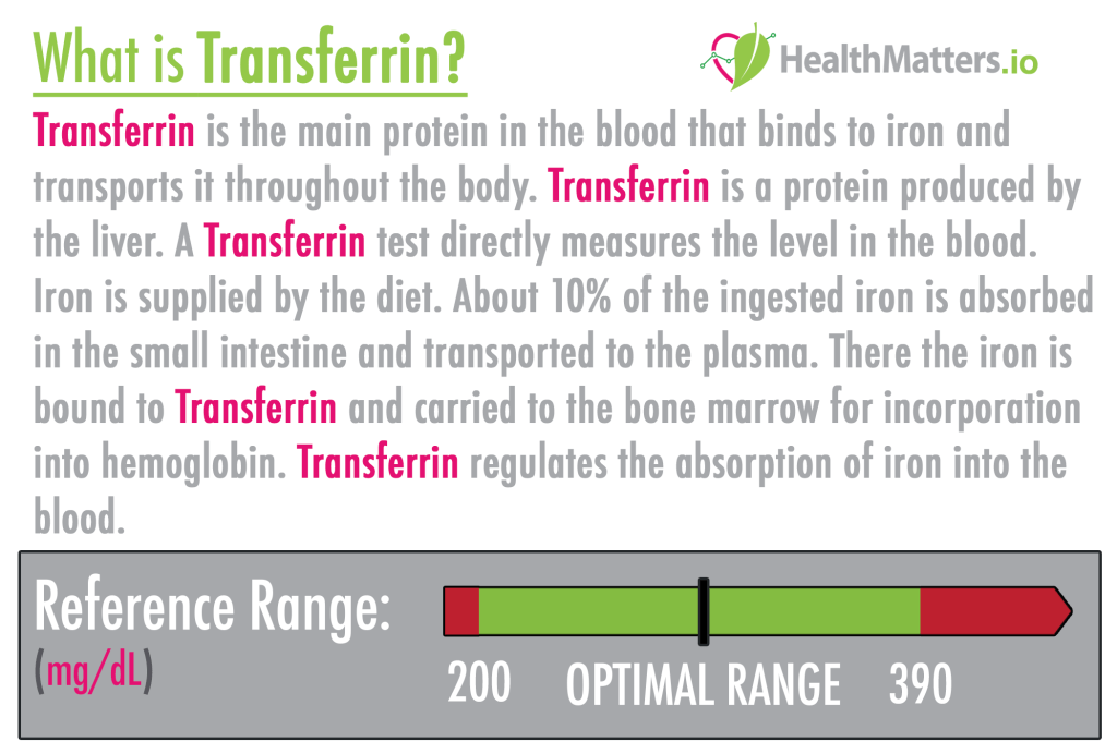 What is Transferrin? High and low values | Lab results explained