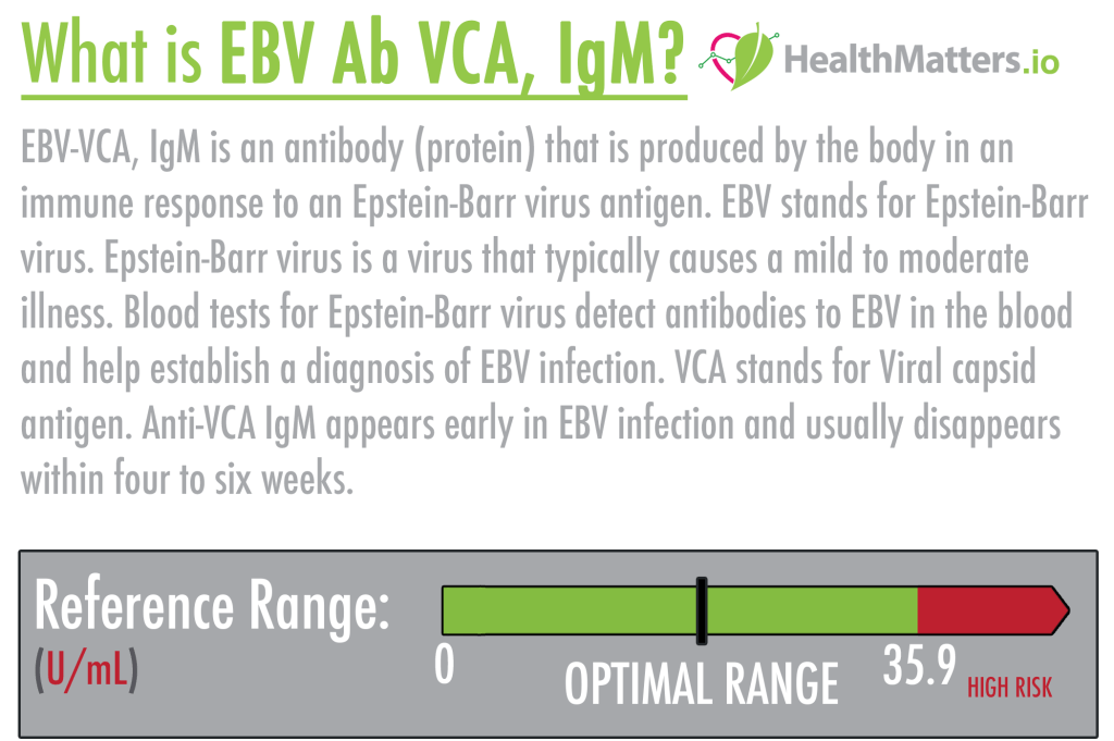 What is EBV Ab VCA, IgM? High and low values | Lab results explained