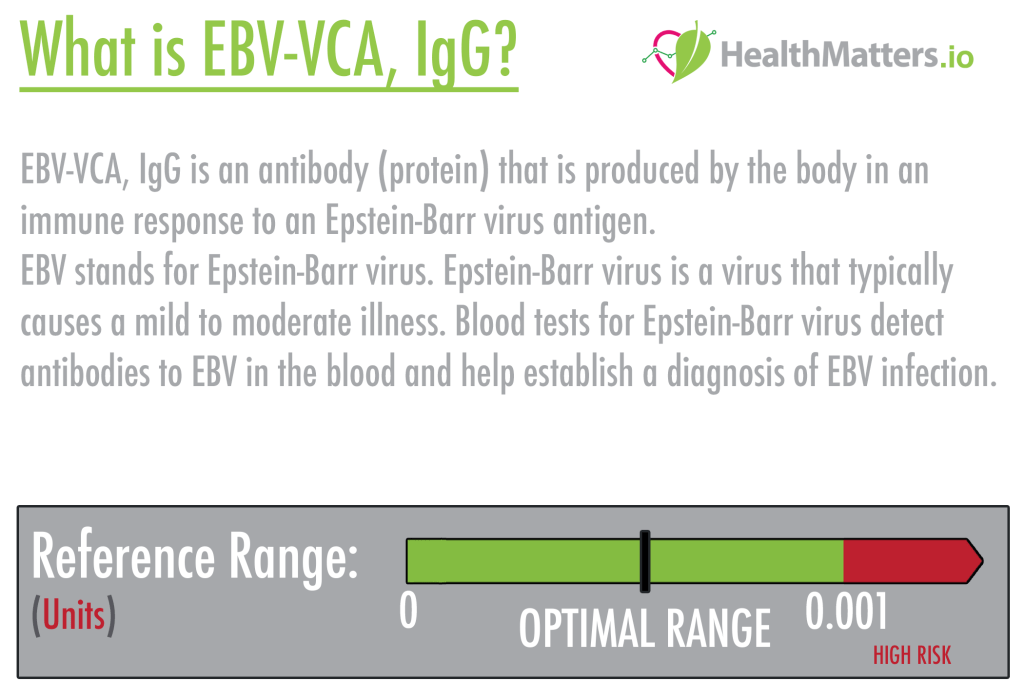 What is EBV Ab VCA, IgM/IgG? High and low values | Lab results explained